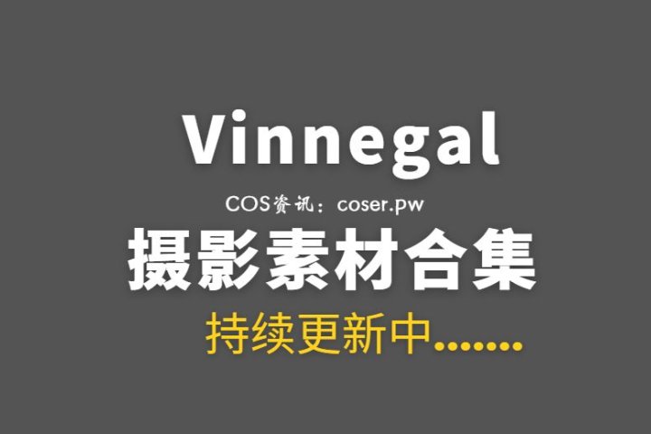 俄罗斯COS Vinnegal 26套COS作品合集打包[758P/1.48GB] – Coser吧